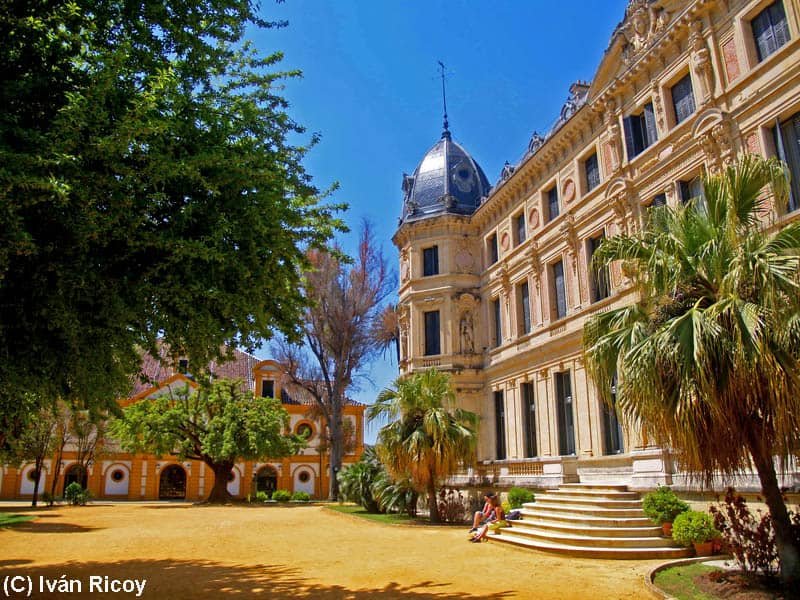 The Sherry Triangle - Jerez de la Frontera - TOMA & COE